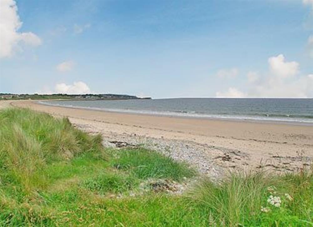 Photos of Bisgeos Cottage, Shandwick, Ross-Shire