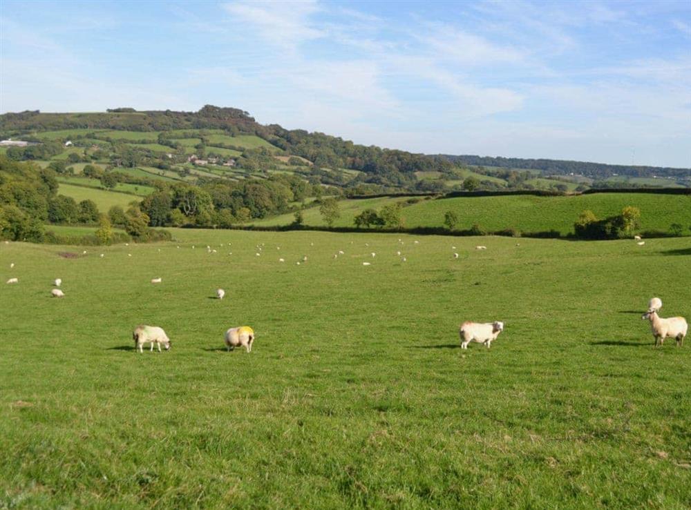 Photos of Ellishayes Farmhouse, Combe Raleigh, near Honiton, Devon
