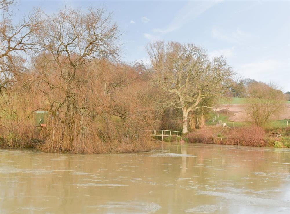Hastingford Fishery- Roach in Hadlow Down, near Uckfield, East Sussex ...