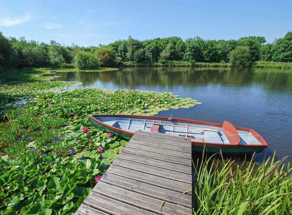 Photos of Lower Winsford Farm - Ostlers Cottage, Halwill Junction, near ...