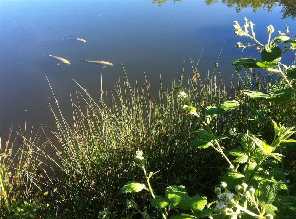 Photos of Lower Winsford Farm - Ostlers Cottage, Halwill Junction, near ...