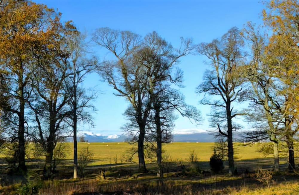 Muirton Park in Auchterarder, Perthshire sleeps 6