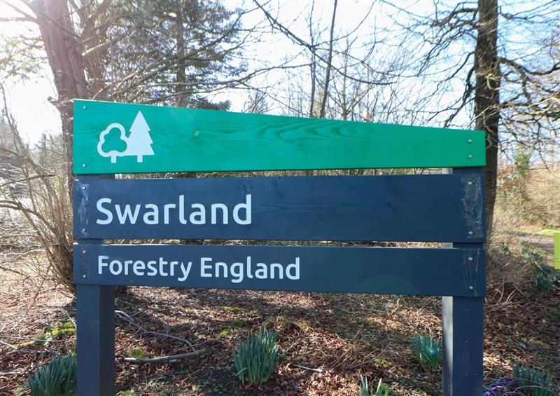 Photos of Percy Wood Country park, Swarland near Felton