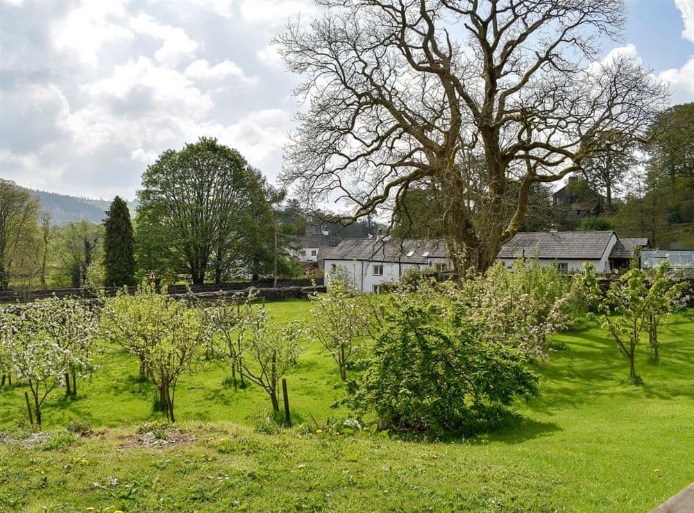 Photos of Water Yeat Farm - Swingle Tree Cottage, Water Yeat, near ...